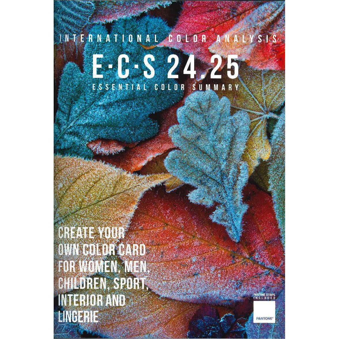 Essential Color Summary for Autumn/Winter 2024-25